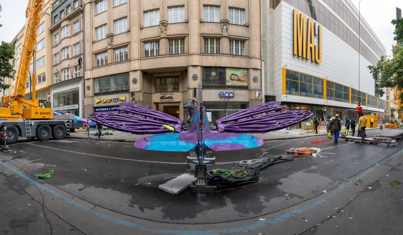 Dílo Davida Černého - PLAY.CZ